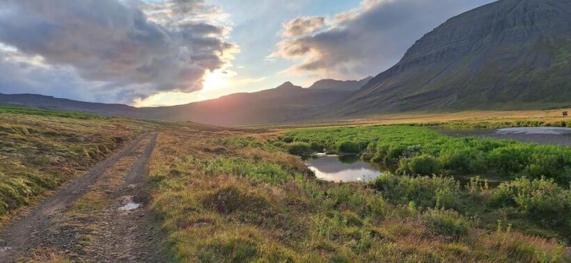 From Eskifjörður: Vöðlavík Black Beach Private Tour - An In-Depth Look at the Vöðlavík Black Beach Private Tour