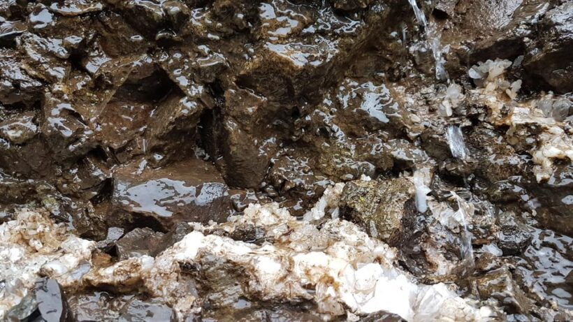 From Eskifjörður: Vöðlavík Black Beach Private Tour - Is This Tour Right for You?