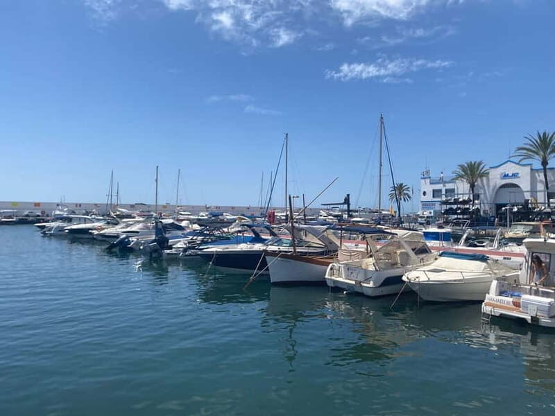 from Estepona, Mijas, Marbella: Marbella Tour Private incl. transportation and tapas - A Closer Look at the Marbella Private Tour