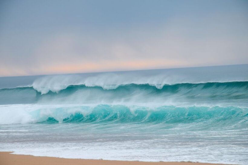 From Evora: Horseback riding on comporta beach - An In-Depth Look at the Horseback Riding Tour