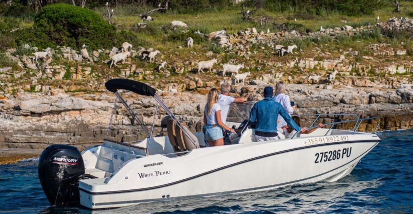 From Faana: Private boat tour of Brijuni Islands - The Sum Up: Is It Worth It?