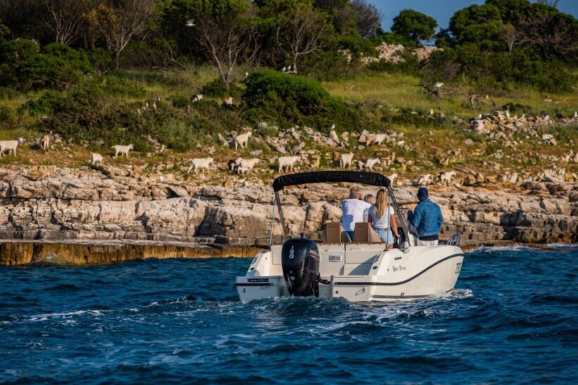 From Faana: Private boat tour of Brijuni Islands - FAQ