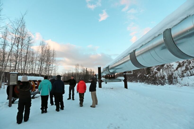 From Fairbanks: Arctic Circle Northern Lights Full-Day Trip - An In-Depth Look at the Arctic Circle Trip