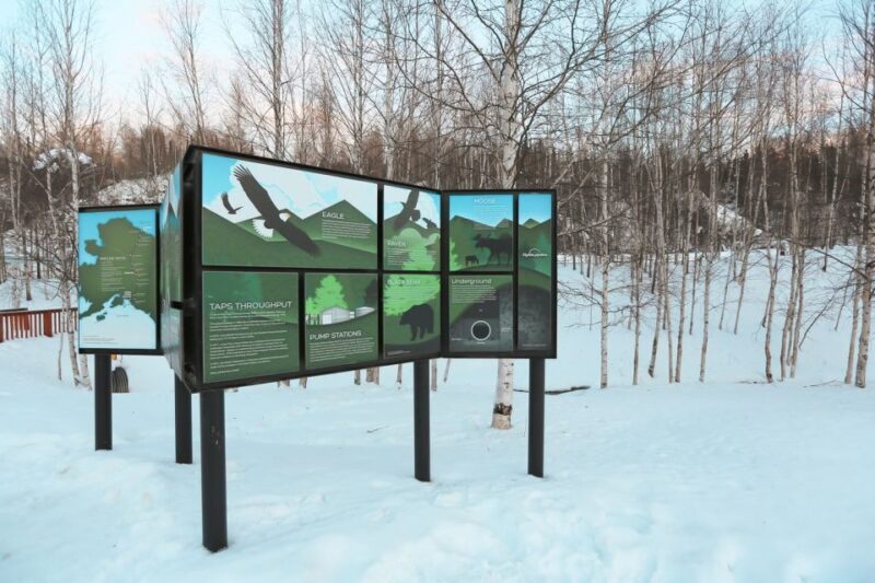 From Fairbanks: Arctic Circle Northern Lights Full-Day Trip - Who Should Consider This Tour?