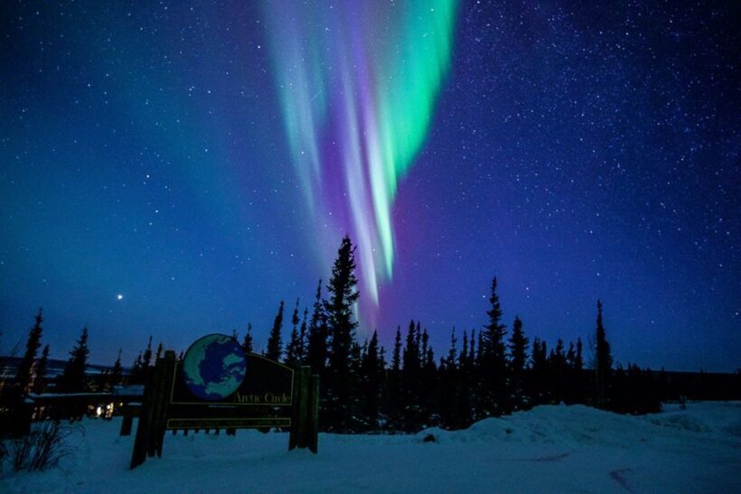 From Fairbanks: Northern Lights and Arctic Circle Tour - Key Points