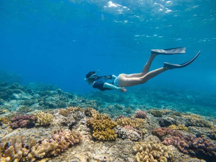 From Fajardo: Boat and Snorkeling in Culebra Island with All-Inclusive - Practical Tips for Potential Participants