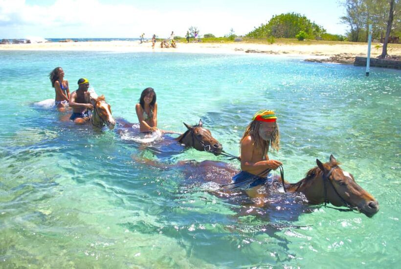 From Falmouth: Horseback Ride and Swim Beach Trip - The Swimming Experience: The Highlight for Many