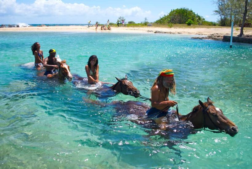 From Falmouth: Horseback Ride n Swim with Green Grotto Caves - An In-Depth Look at the Tour Itinerary