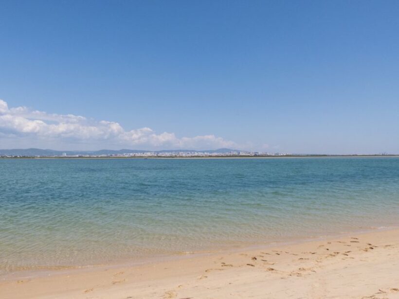 From Faro: 2-Hour Guided Bird Watching Boat Trip - What to Expect from the Experience