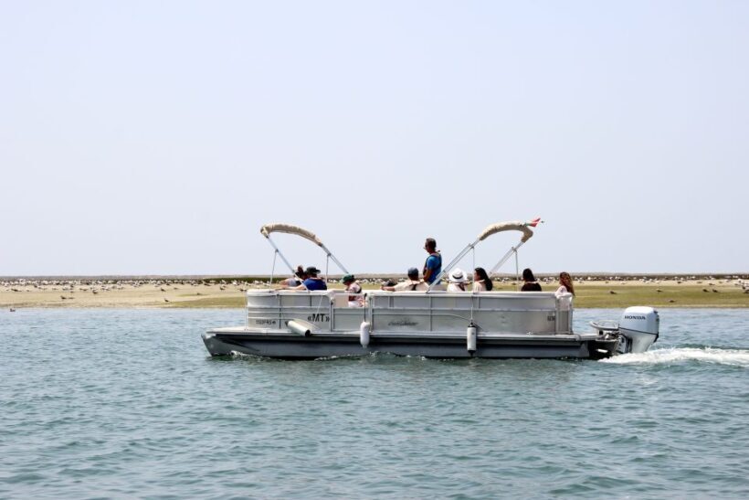 From Faro: 2-Hour Guided Bird Watching Boat Trip - FAQ