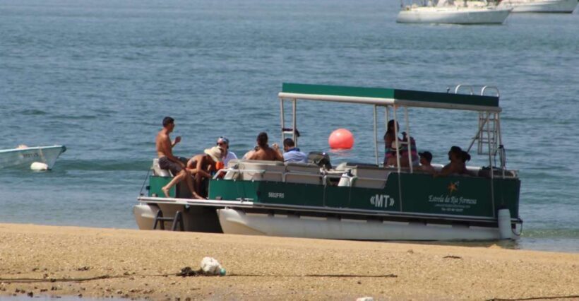 From Faro: 2-Island, 2-Stop Ria Formosa Catamaran Tour - Key Points