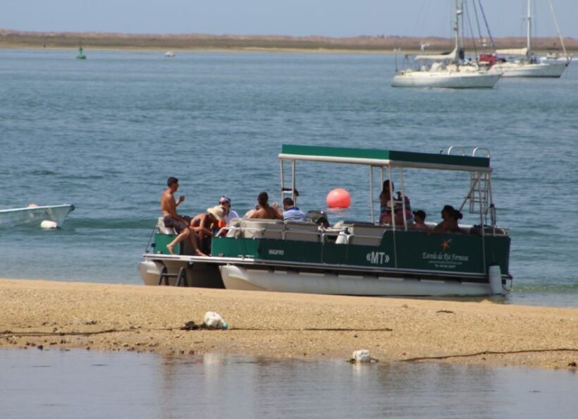 From Faro: 2-Island, 2-Stop Ria Formosa Catamaran Tour - An Overview of the Ria Formosa Catamaran Experience