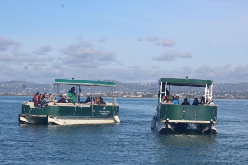 From Faro: 2-Island, 2-Stop Ria Formosa Catamaran Tour - The Value of the Tour