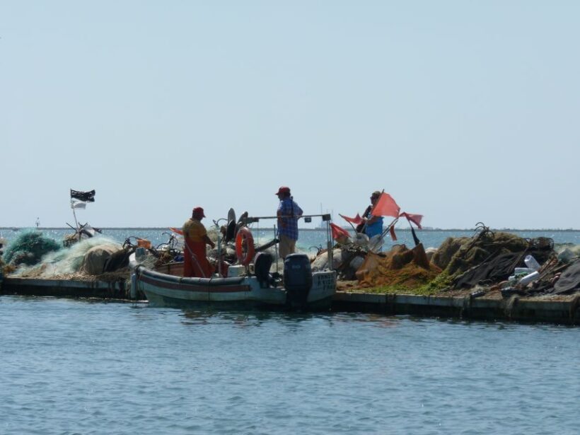 From Faro: 4 Stops, 3 Islands in Ria Formosa Catamaran Tour - FAQs