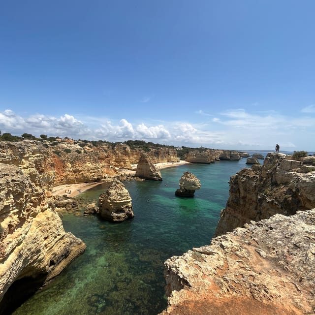 From Faro: Benagil, Algar Seco, and Marinha Adventure Tour - Price and Value