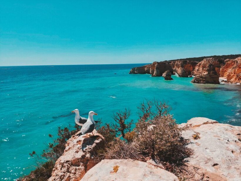 From Faro: Benagil Cave, Marinha, & Carvoeiro Full-Day Tour - Exploring the Algarve Coast in Detail