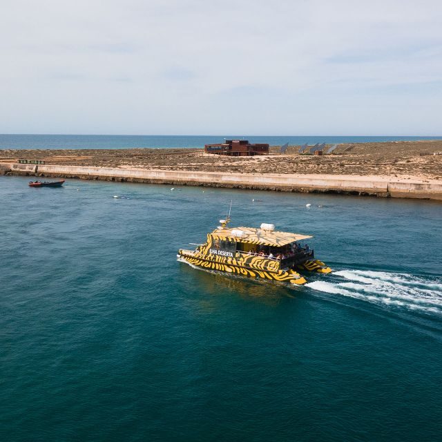 From Faro: Catamaran Boat Trip to Deserta Island with Stop - Introduction