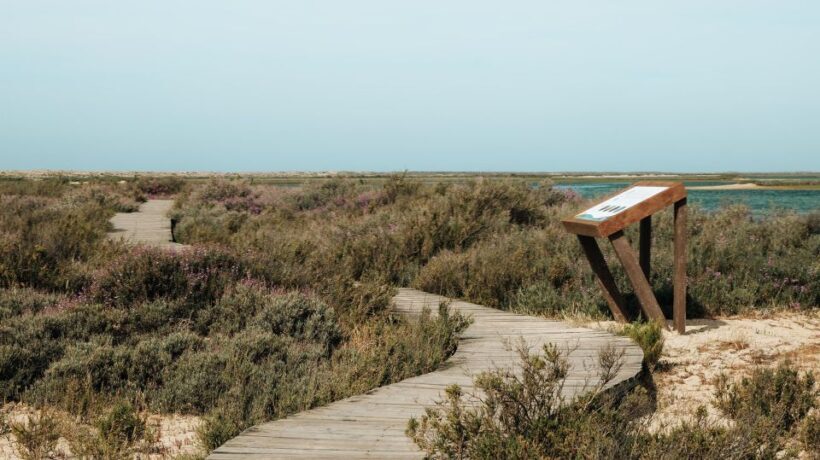 From Faro: Catamaran Boat Trip to Deserta Island with Stop - FAQ