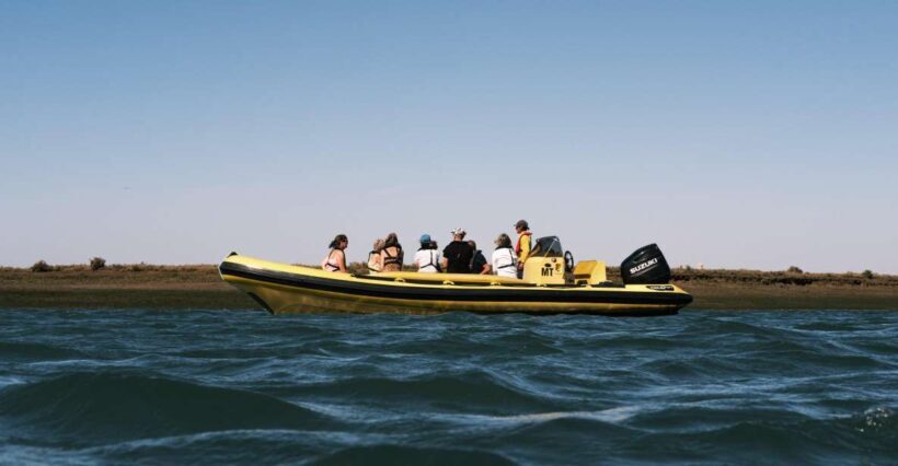 From Faro: Ria Formosa Eco Tour guided by Marine Biologist - Key Points
