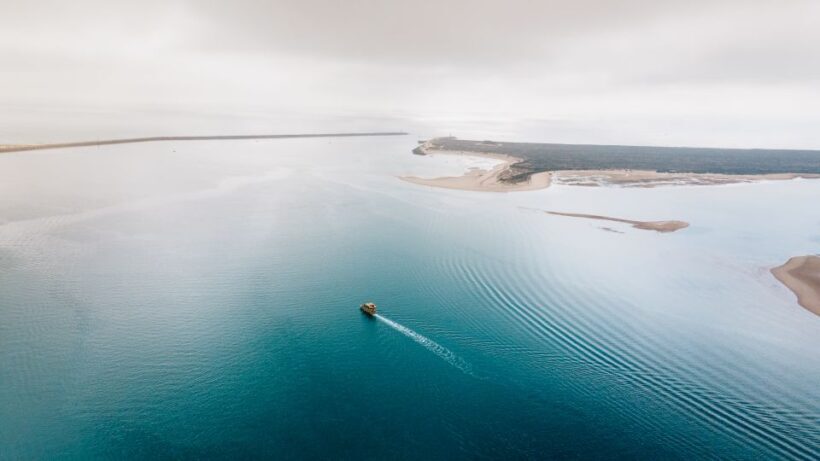 From Faro: Ria Formosa Eco Tour guided by Marine Biologist - Practical Details and Tips