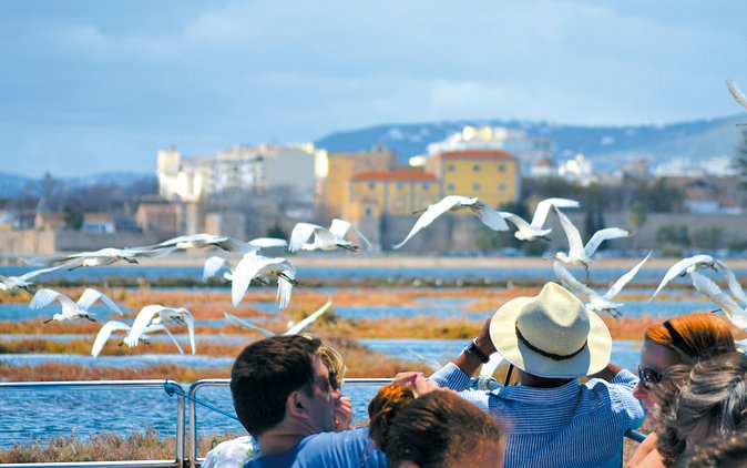 From Faro: Ria Formosa Eco Tour Guided by Marine Biologist - Tour Participation Details
