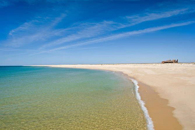 From Faro: Ria Formosa Eco Tour Guided by Marine Biologist - Discovering Deserta Island