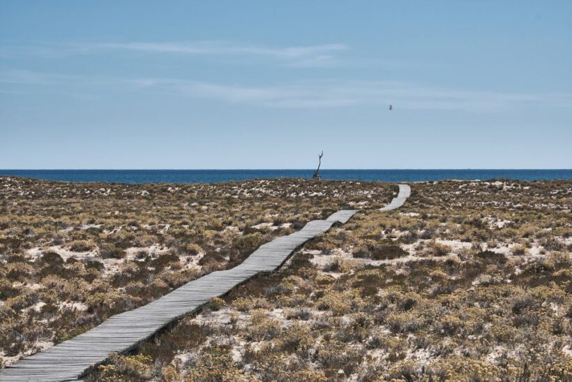 From Faro: Ria Formosa Hop-On Hop-Off 3 Islands Cruise - FAQ