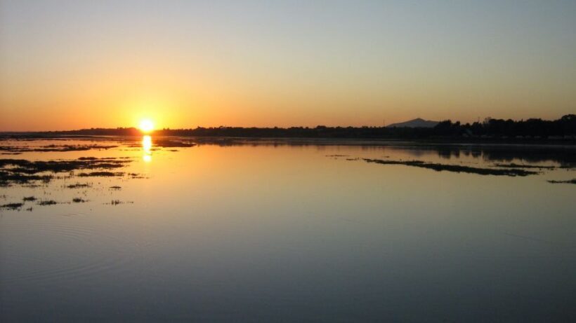 From Faro: Ria Formosa Sunset Boat Trip - The Sum Up