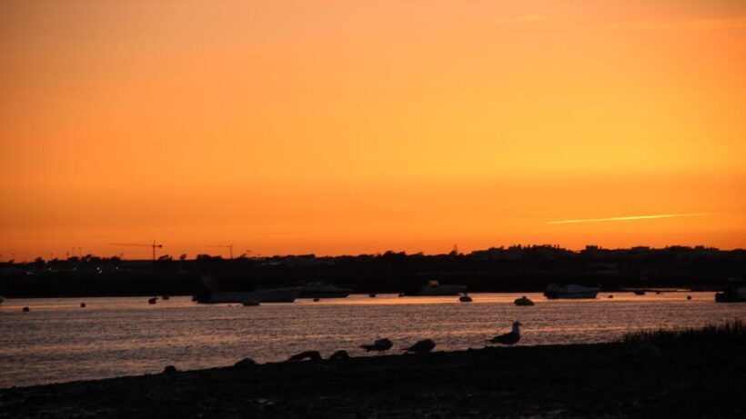 From Faro: Ria Formosa Sunset Boat Trip - Key Points
