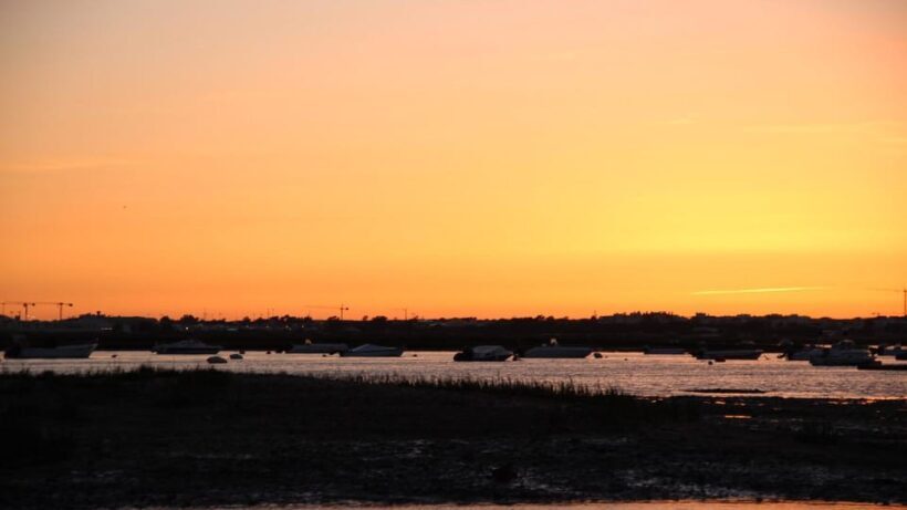 From Faro: Ria Formosa Sunset Boat Trip - The Itinerary in Detail