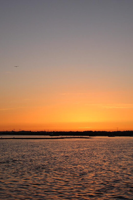 From Faro: Ria Formosa Sunset Boat Trip - What Makes This Experience Stand Out