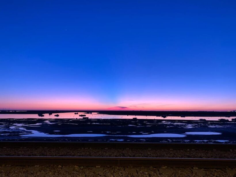 From Faro: Ria Formosa Sunset Boat Trip - Who Should Consider This Tour?