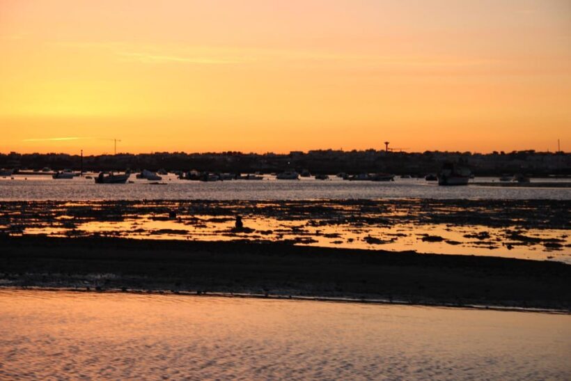 From Faro: Ria Formosa Sunset Boat Trip - Final Thoughts