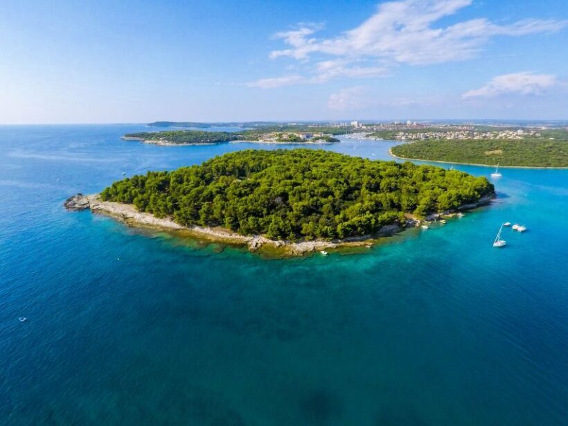 From Fazana: Dolphin watching and snorkeling in Blue Cave - Who This Tour Is Best For