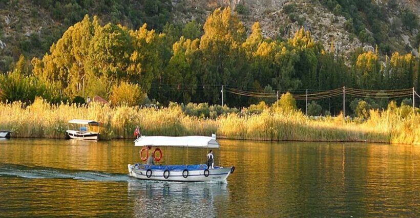 From Fethiye: Dalyan Day Trip with Mud Bath and Turtle Beach - A Detailed Look at the Dalyan Day Trip