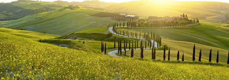 From Firenze | Chianti day tour in a classic car - Why Choose This Tour?