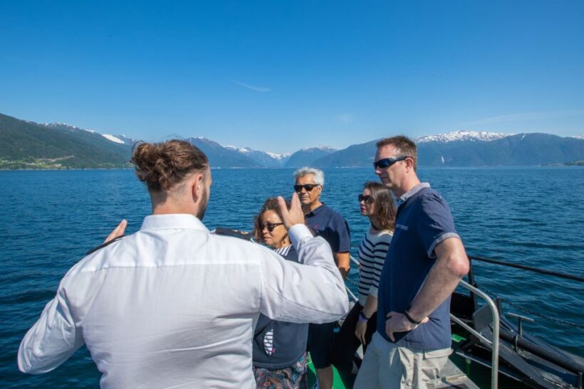 From Fjærland - Fjord Cruise to Balestrand one-way - Who Should Consider This Cruise?