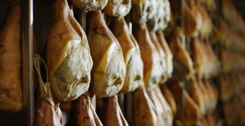 From Florence: Bologna Culinary Day Trip with Local Tastings - FAQ