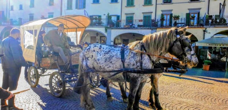 From Florence: Carriage Ride in Chianti Hills with Lunch - Practical Details and Value