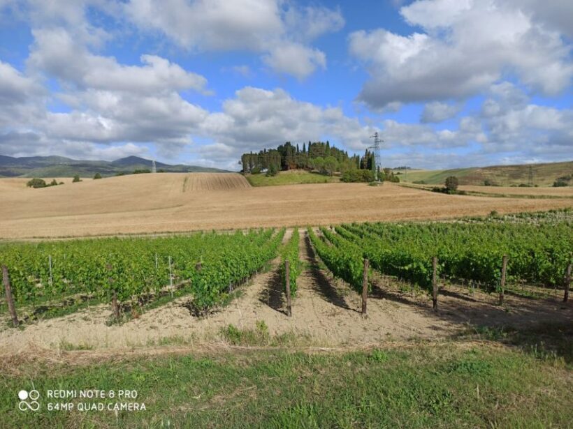 From Florence: Chianti afternoon tour & visit to 2 wineries - An In-Depth Look at the Tour