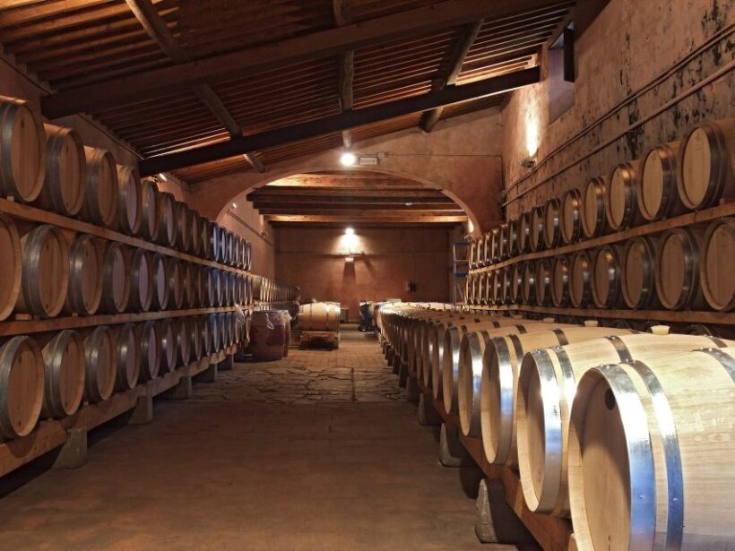 From Florence: Chianti Half-Day Afternoon Tour - Who Will Enjoy This Tour?