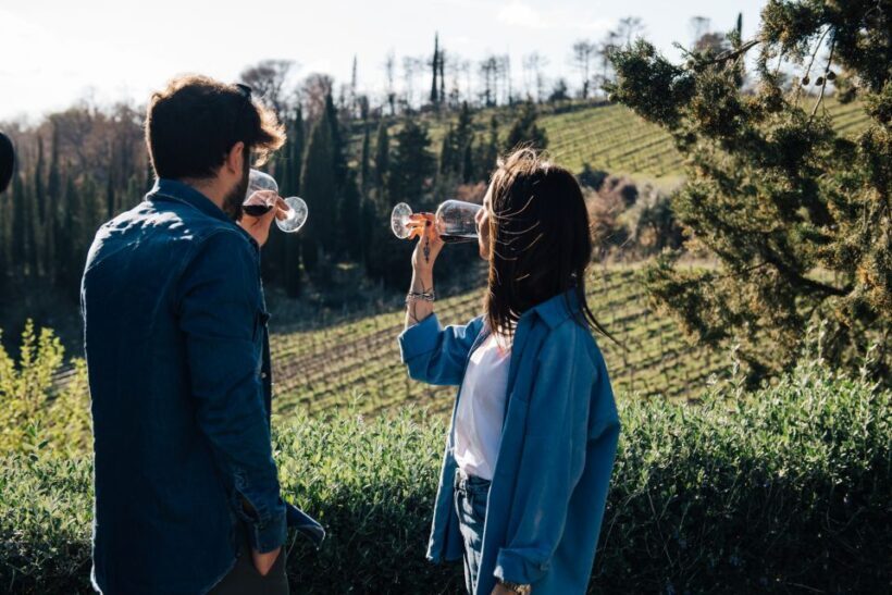 From Florence: Chianti Hills Half-Day Tour with Wine Tasting - A Closer Look at the Tour Experience