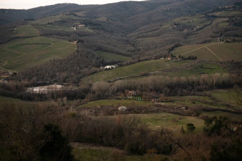 From Florence: Chianti Hills Wineries Tour with Tasting - Who Should Consider This Tour?