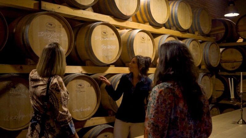 From Florence: Chianti, Montalcino & Montepulciano - Minivan - Key Points