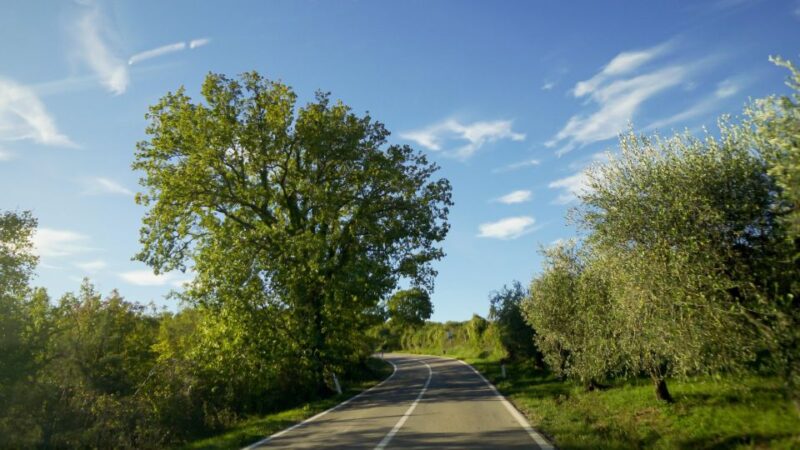 From Florence: Chianti, Montalcino & Montepulciano - Minivan - Potential Drawbacks