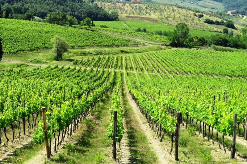From Florence: Chianti Self-Guided Vespa Tour with Lunch - An Honest Look at the Experience