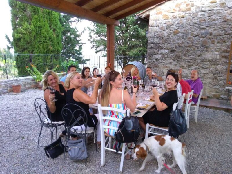 From Florence: Chianti Wine Tastings at Sunset Day Trip - Who Will Love This Tour?