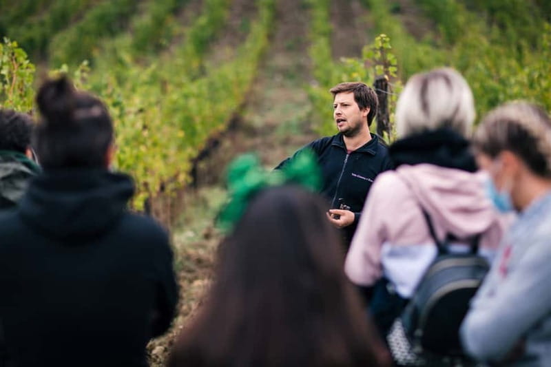 From Florence: Chianti Wine Tour at 2 Estates w/Lunch&snacks - The Sum Up: Is This Tour Worth It?