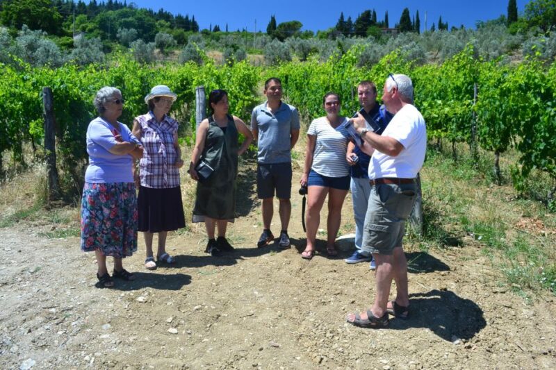 From Florence: Chianti Winery Tour with Lunch - Who Would Benefit Most?