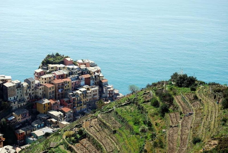 From Florence: Cinque Terre Day Trip with Local Guide - In-Depth Look at What to Expect